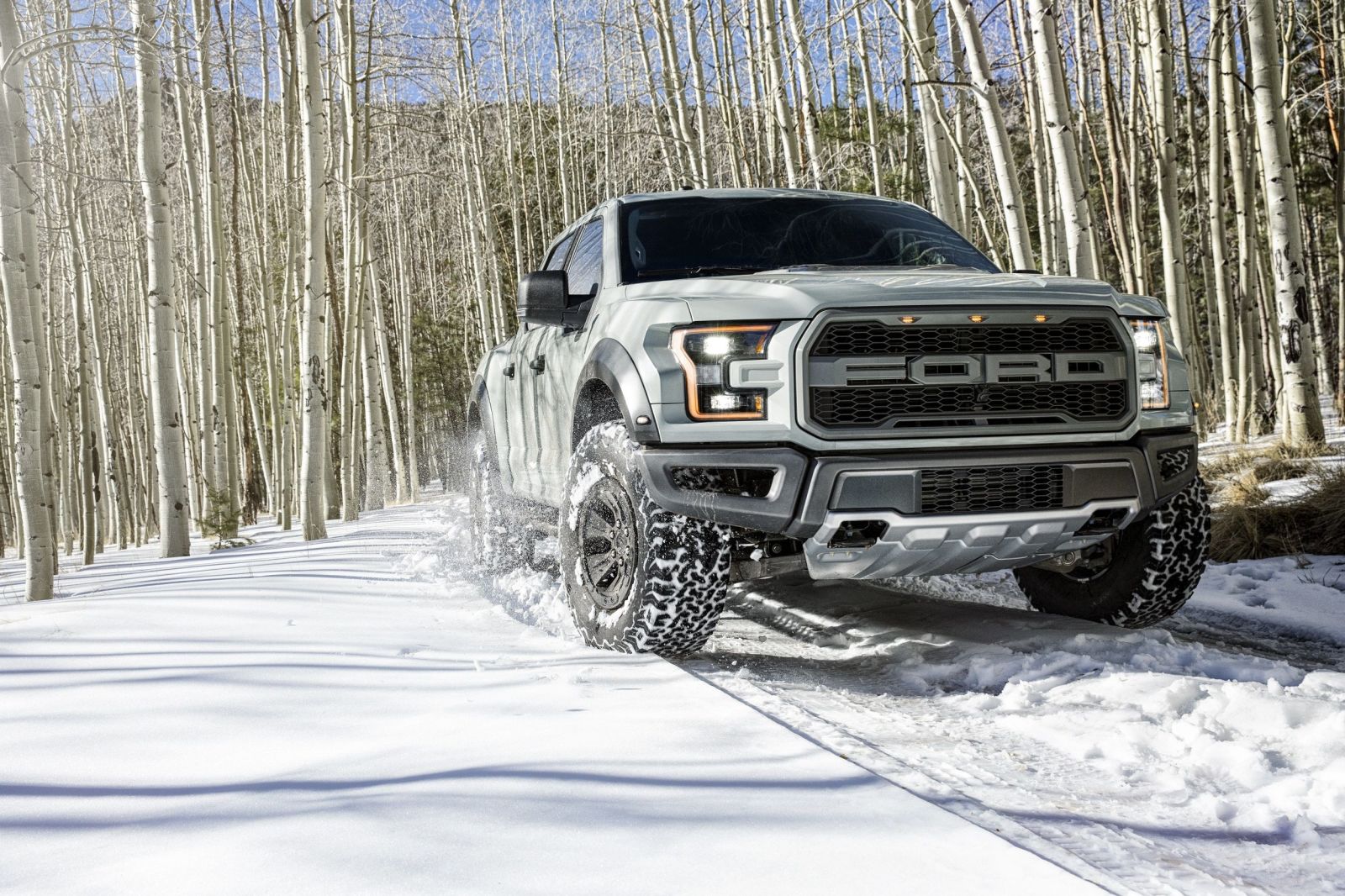 2017 Ford Raptor: High Resolution Photos | Page 10 | Ford Raptor Forums